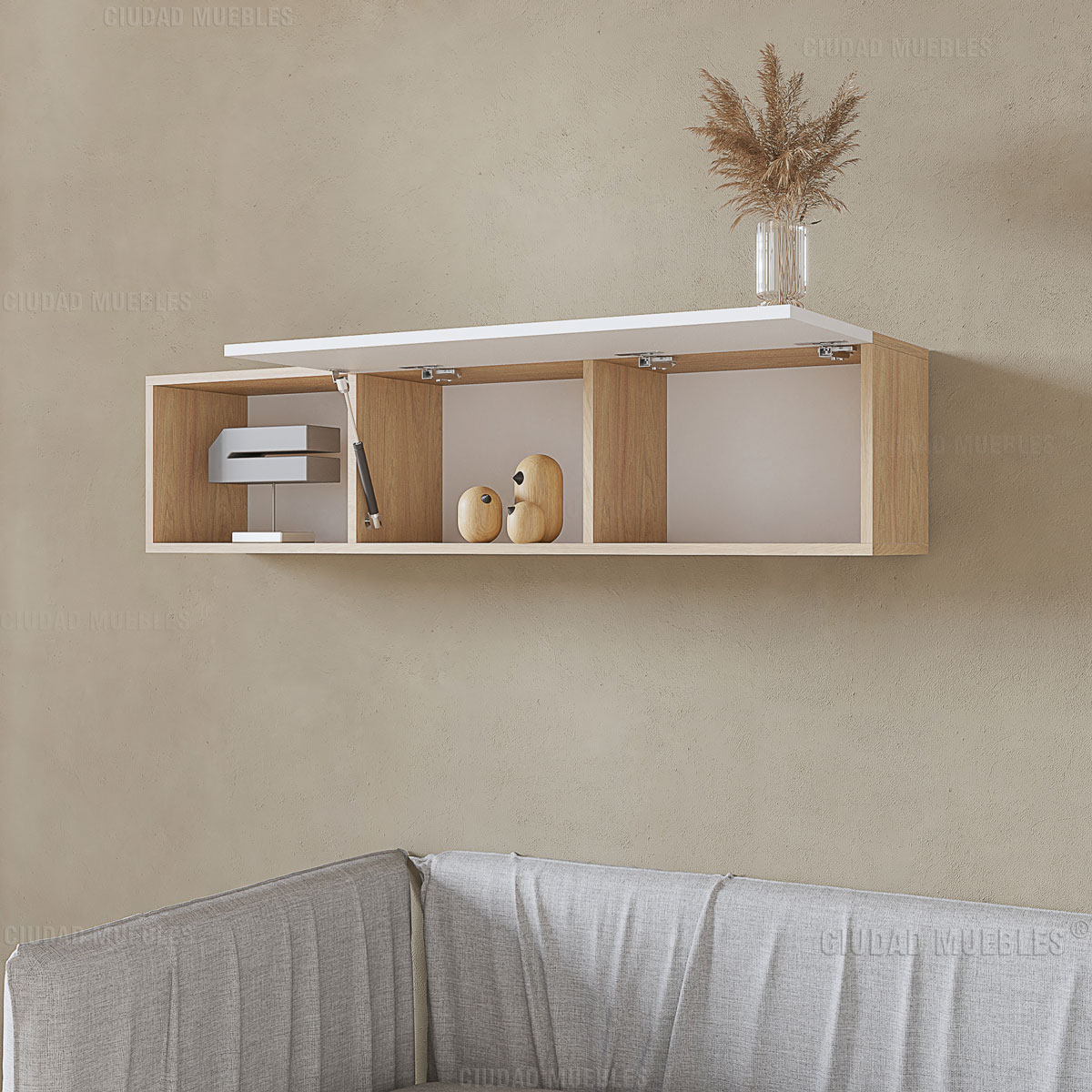 Repisa Flotante con Puerta 120Cm - Ciudad Muebles